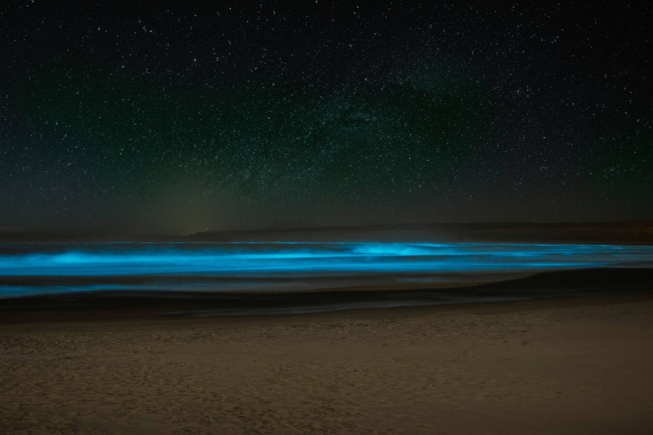 How and where to see bioluminescent (glowing) plankton in Krabi